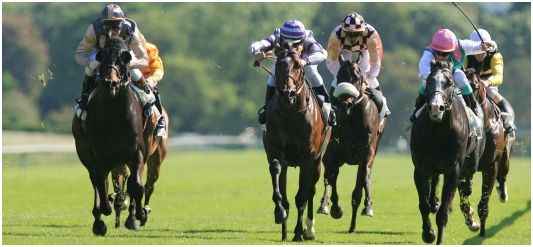 methodes turf pmu tierce quarte quinte jeu simple couplé | methodes turf pmu ebook tierce quarte ...